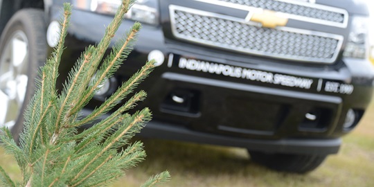 IMS, NASCAR Team Up To Battle Emissions WIth Local Tree Planting